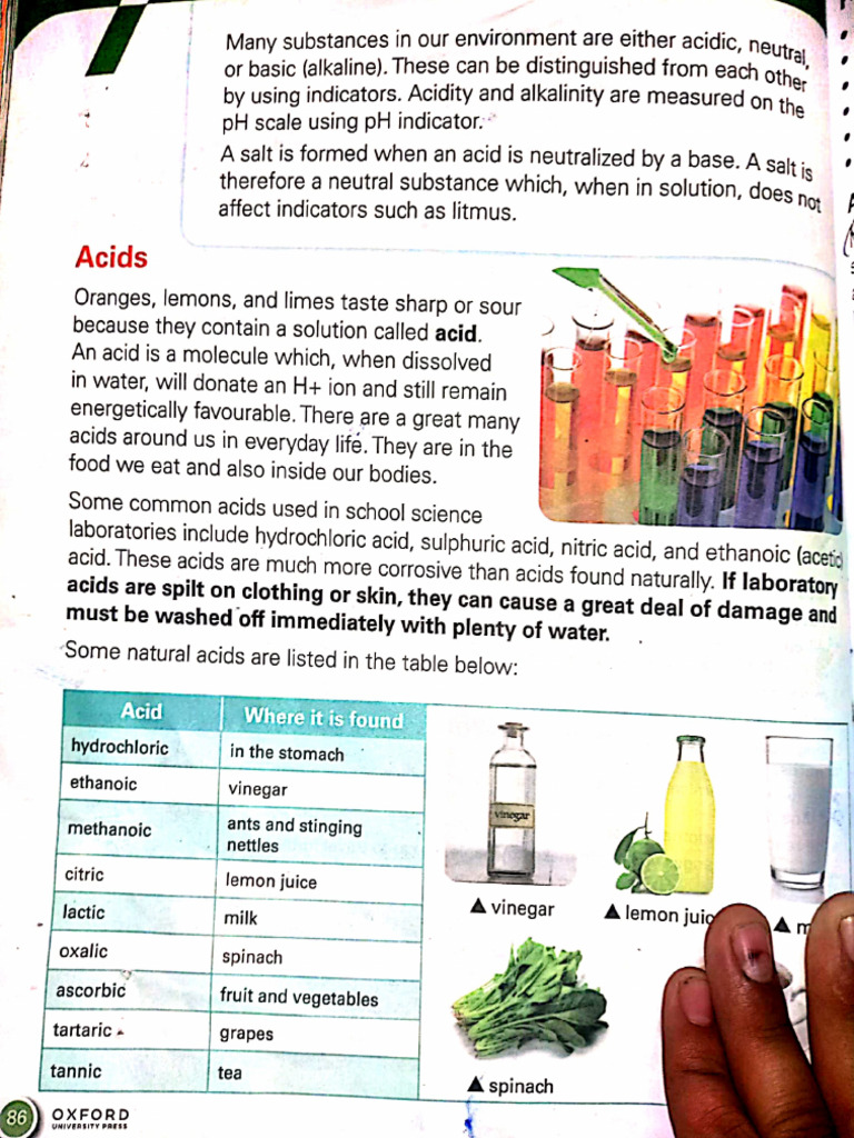 Chapter 7 ACID BASE SALT | PDF
