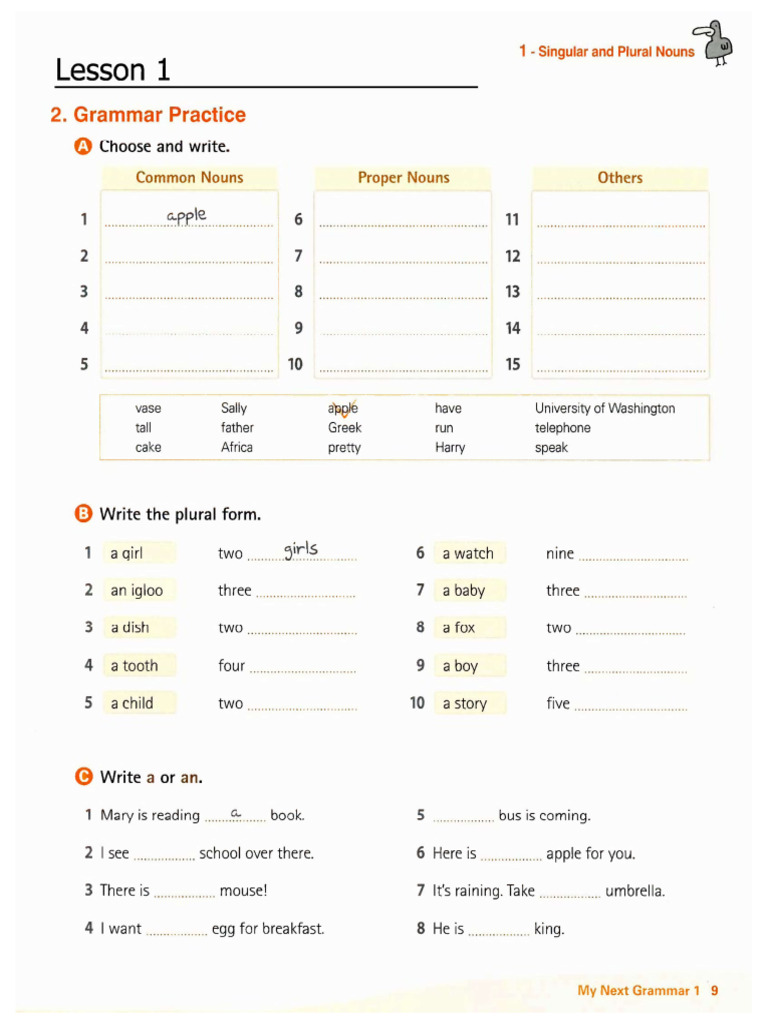 Nouns & Pronouns - Prac | PDF
