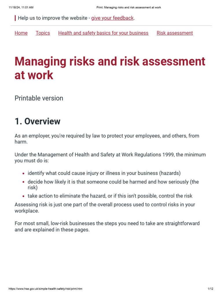 Print - Managing Risks and Risk Assessment at Work | PDF | Occupational ...