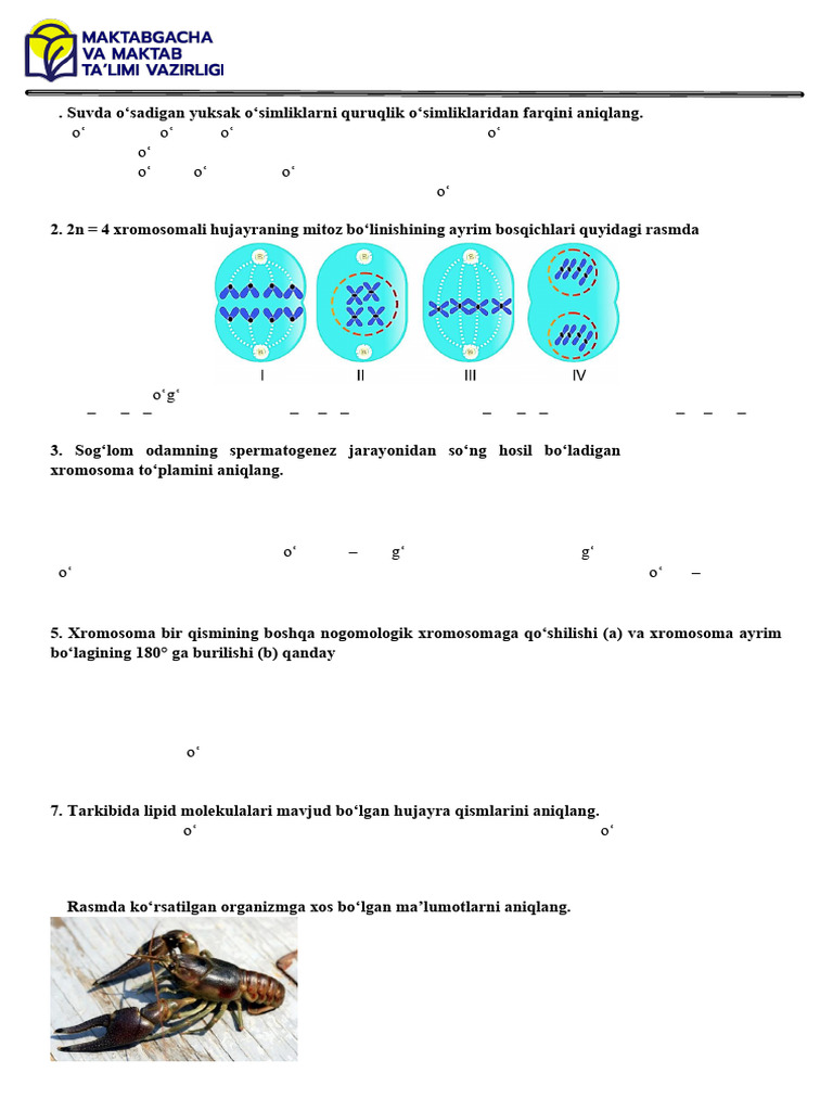 Biologiya 11 Test UZB | PDF