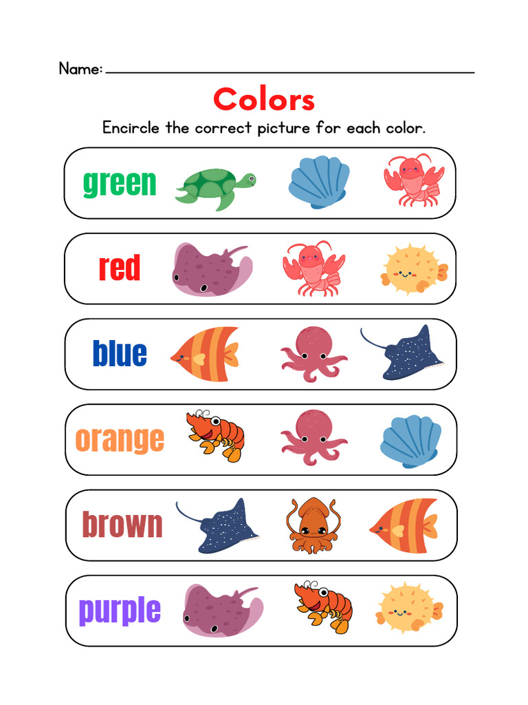 Colorful Fun Color Identification Worksheet | PDF