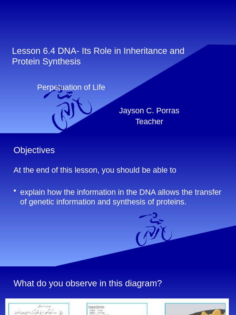 Lesson 6.4 DNA Its Role in Inheritance and Protein Synthesis | PDF ...