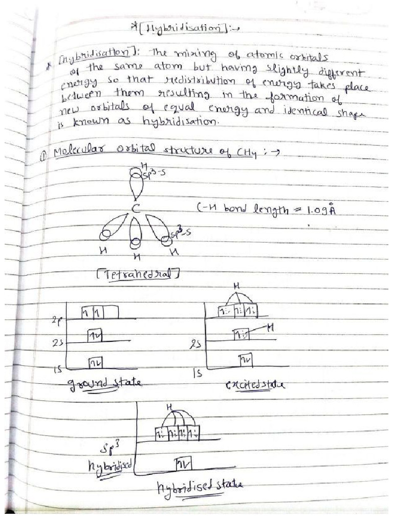 Hybridization | PDF