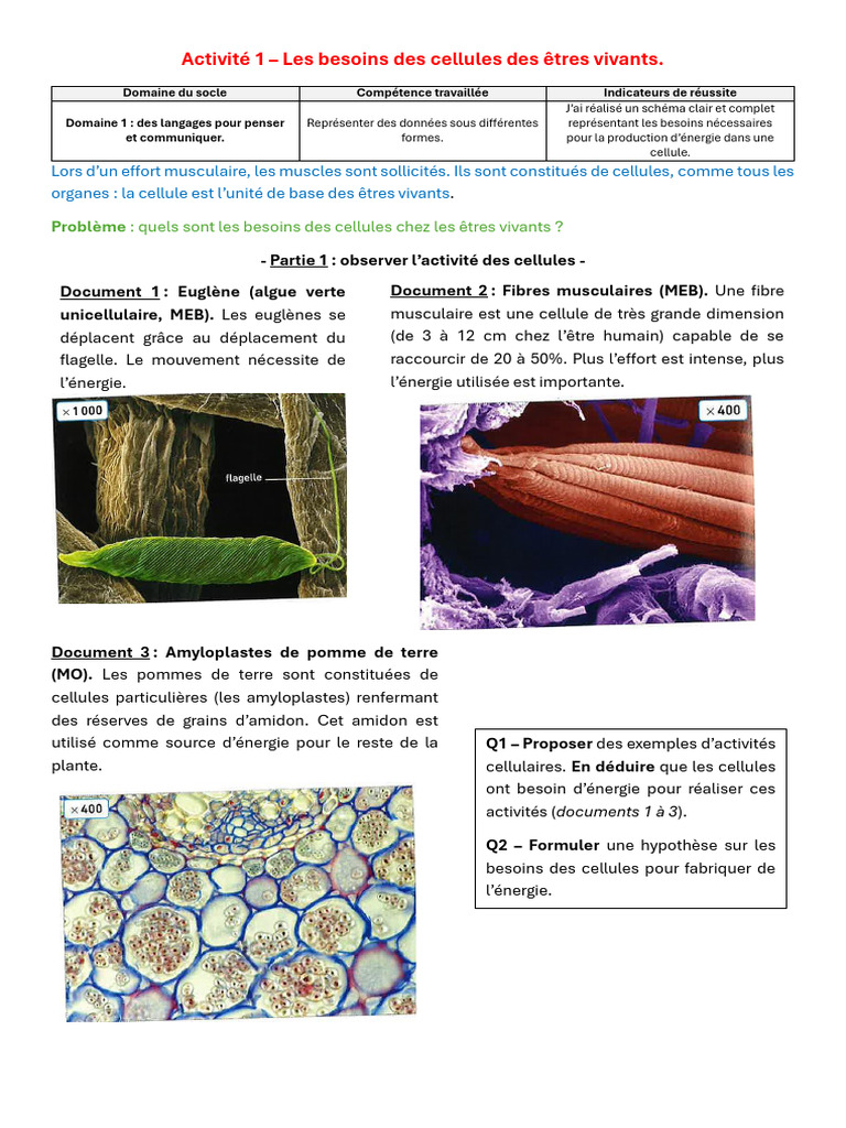 Activité 1 - Les Besoins Des Cellules Des Êtres Vivants | PDF | Cellule ...
