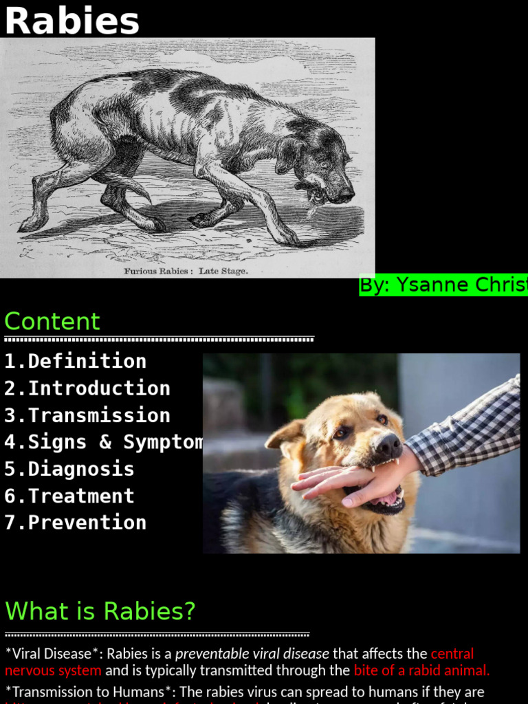 Introduction To Rabies | PDF | Rabies | Virus
