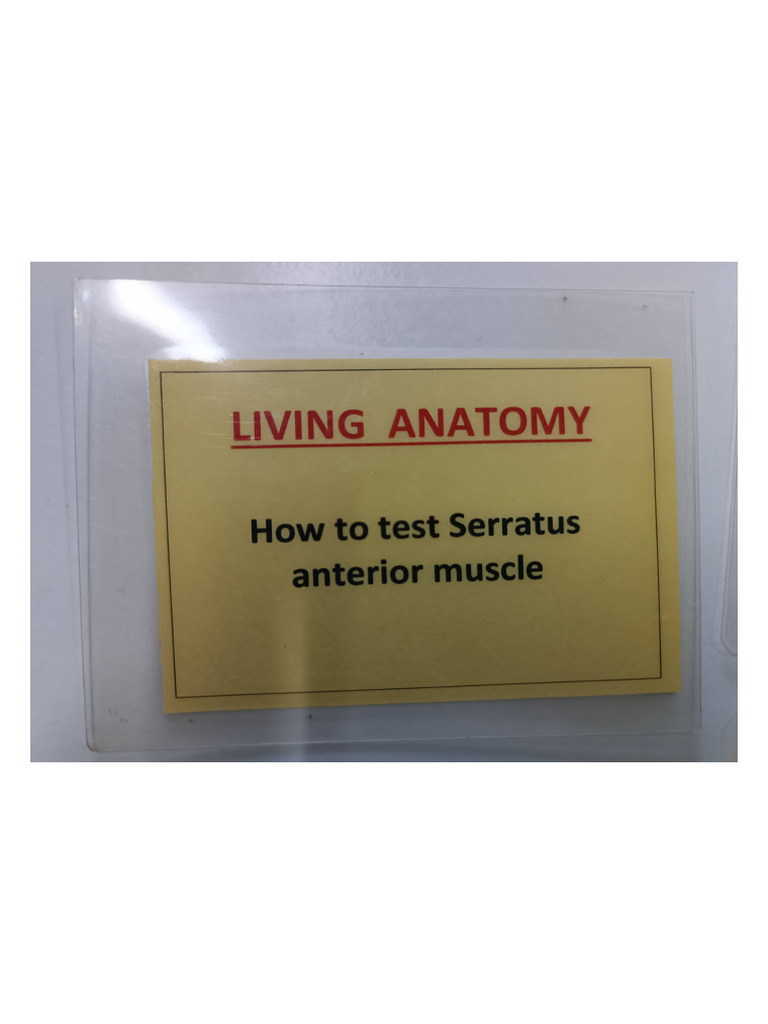 Living Anatomy Cards | PDF
