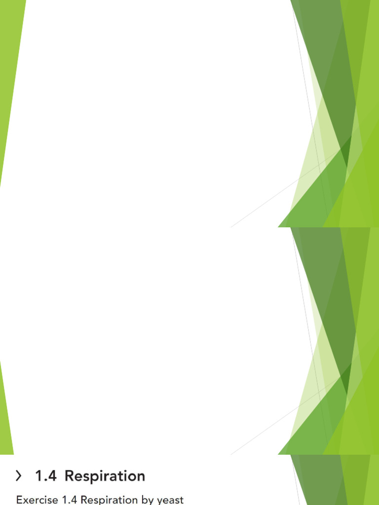 Workbook Exercises 1.4 1.5A 1.5B 1.5C W12 | PDF