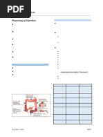 ZOXIL Antibiotic Patient Leaflet | PDF | Birth Control | Breastfeeding