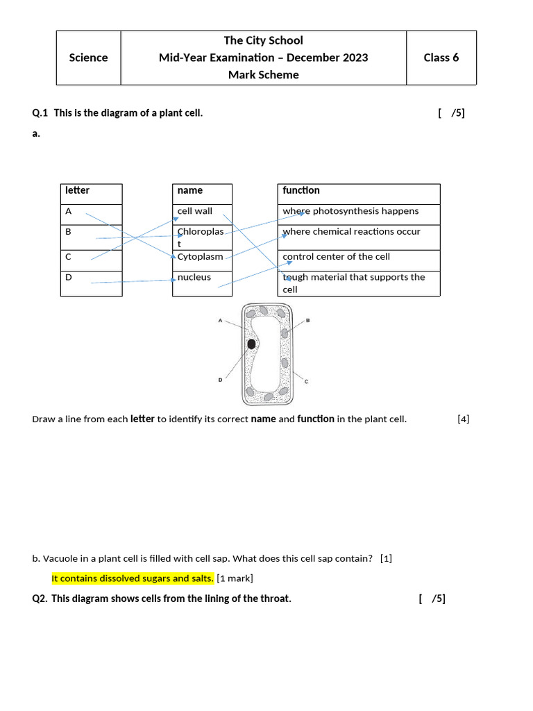 The City School Science Past Paper MS 2023-2024 | PDF | Weight | Eclipse