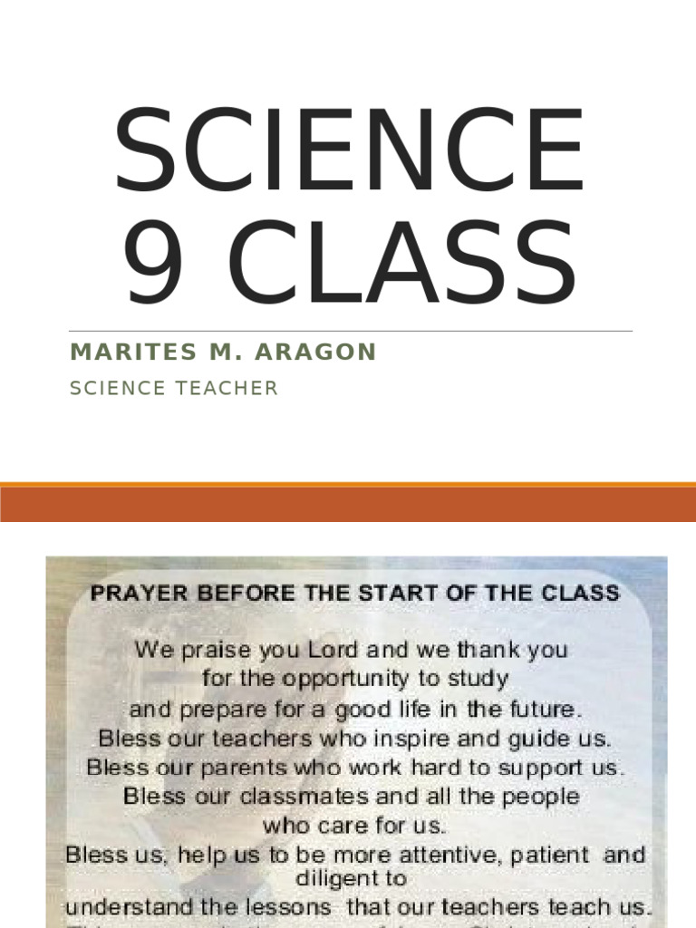 Diseases of The Cardio Respiratory System | PDF | Lung | Respiratory ...