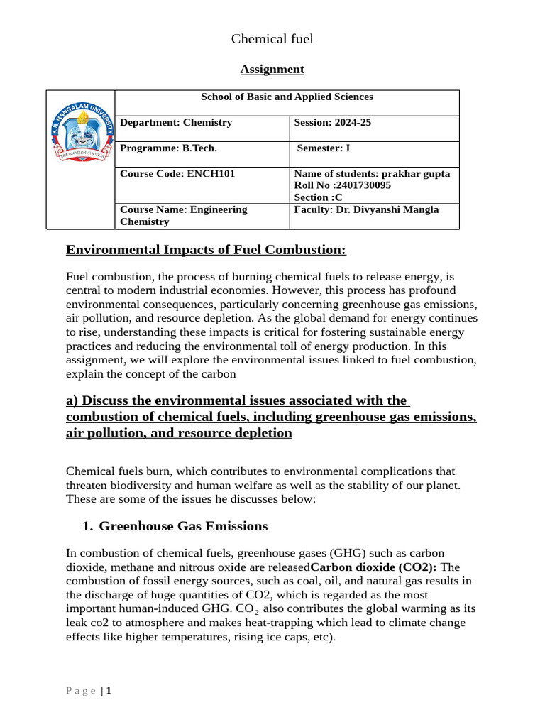Assignment Chemical Fuels | PDF | Biofuel | Renewable Energy