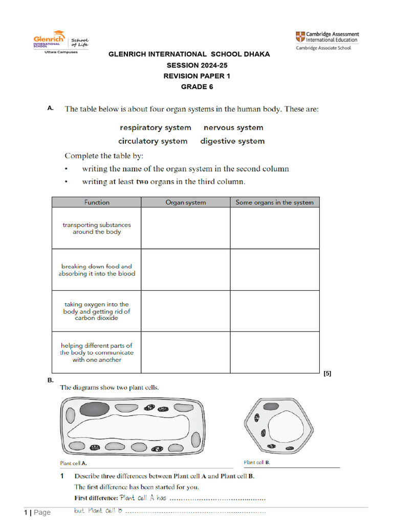 G6-Revision Paper 1 | PDF