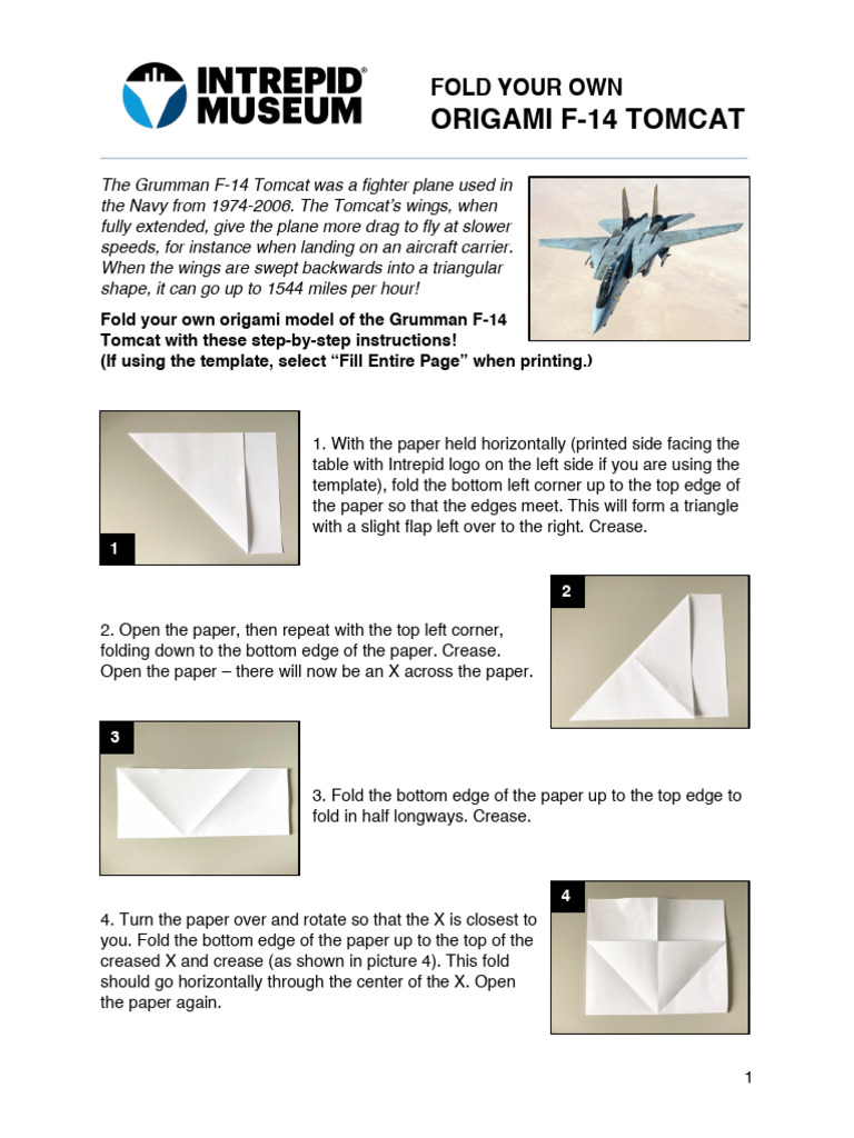Fold Your Own Origami f-14 Tomcat | PDF | Origami | Flap (Aeronautics)