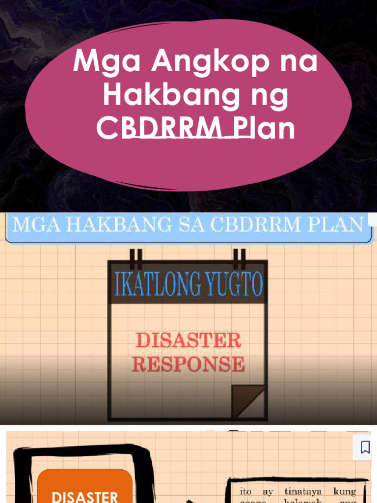 Mga Angkop Na Hakbang NG CBDRM Plan 1 | PDF