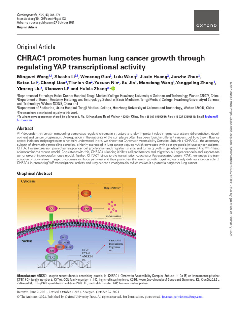 2oxford-Mingwei Wang-2022 | PDF | Cancer | Epigenetics