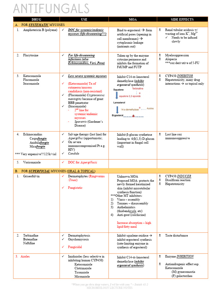 7 Antifungals | PDF | Candidiasis | Mycology