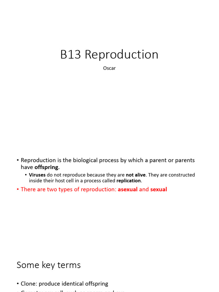 B13 Reproduction: Oscar | PDF | Sexual Reproduction | Ploidy