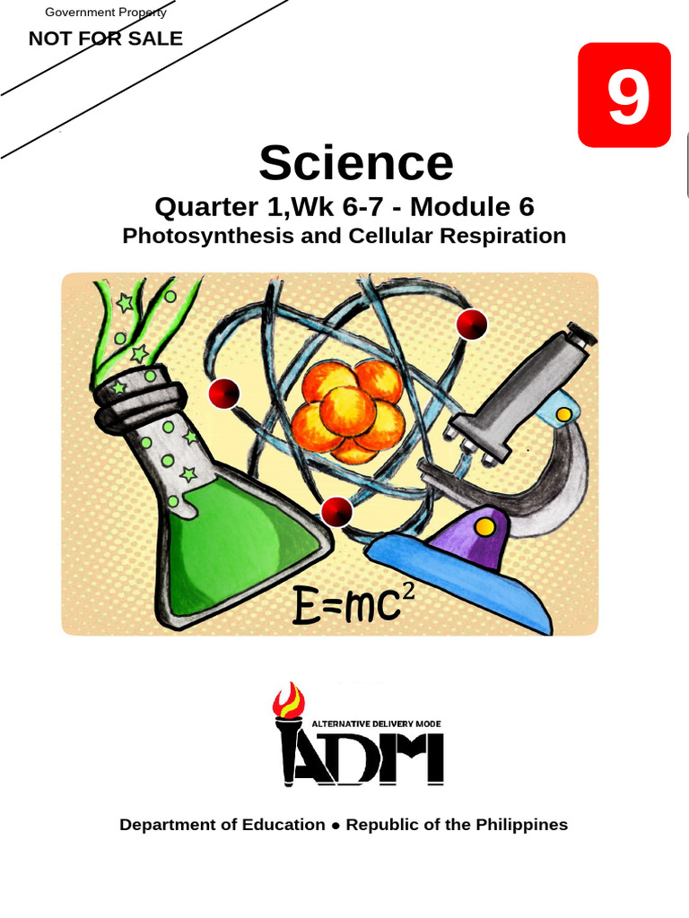 Photosynthesis and Cellular Respiration Guide | PDF | Cellular ...