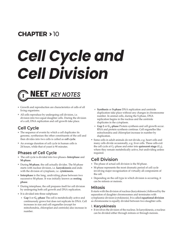 Cell Cycle and Division Explained | PDF | Mitosis | Meiosis
