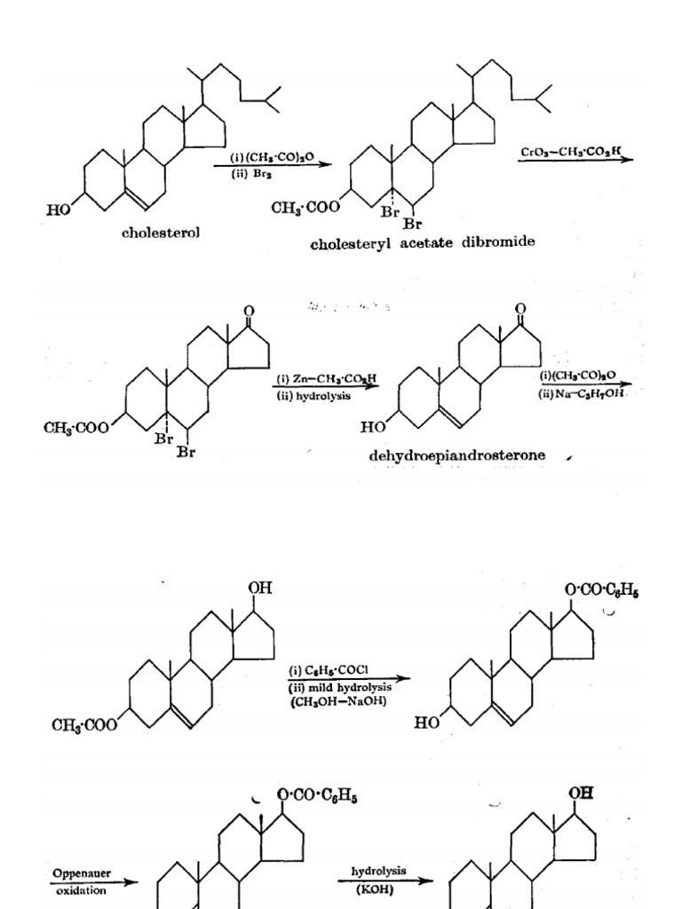 Testosterone From Cholesterol | PDF