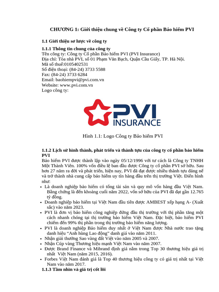 Chương 1 Cty PVI | PDF