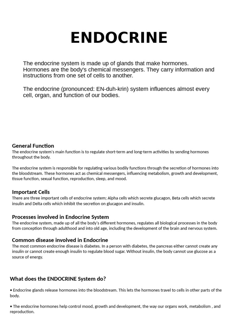 Endocrine System Powerpoint | PDF | Endocrine System | Hormone