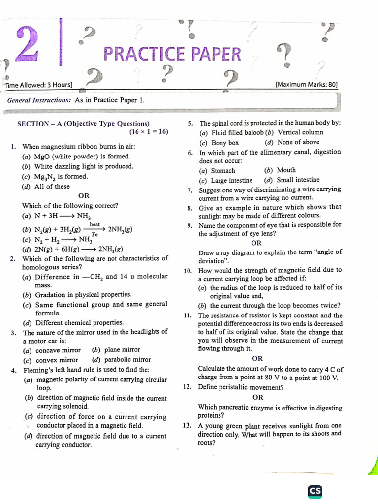Grade 10 Exam Sample Paper 2 | PDF