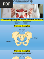 Radioanatomie Du Bassin | PDF | Tomodensitométrie | Appareil locomoteur