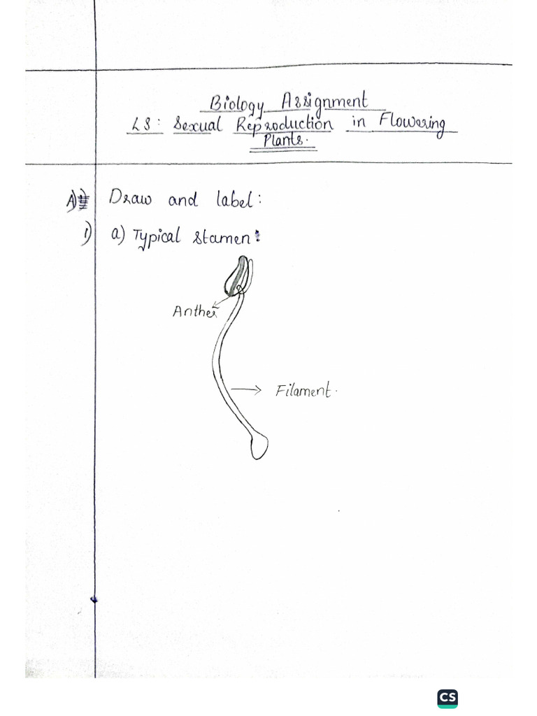Bio Assignment | PDF