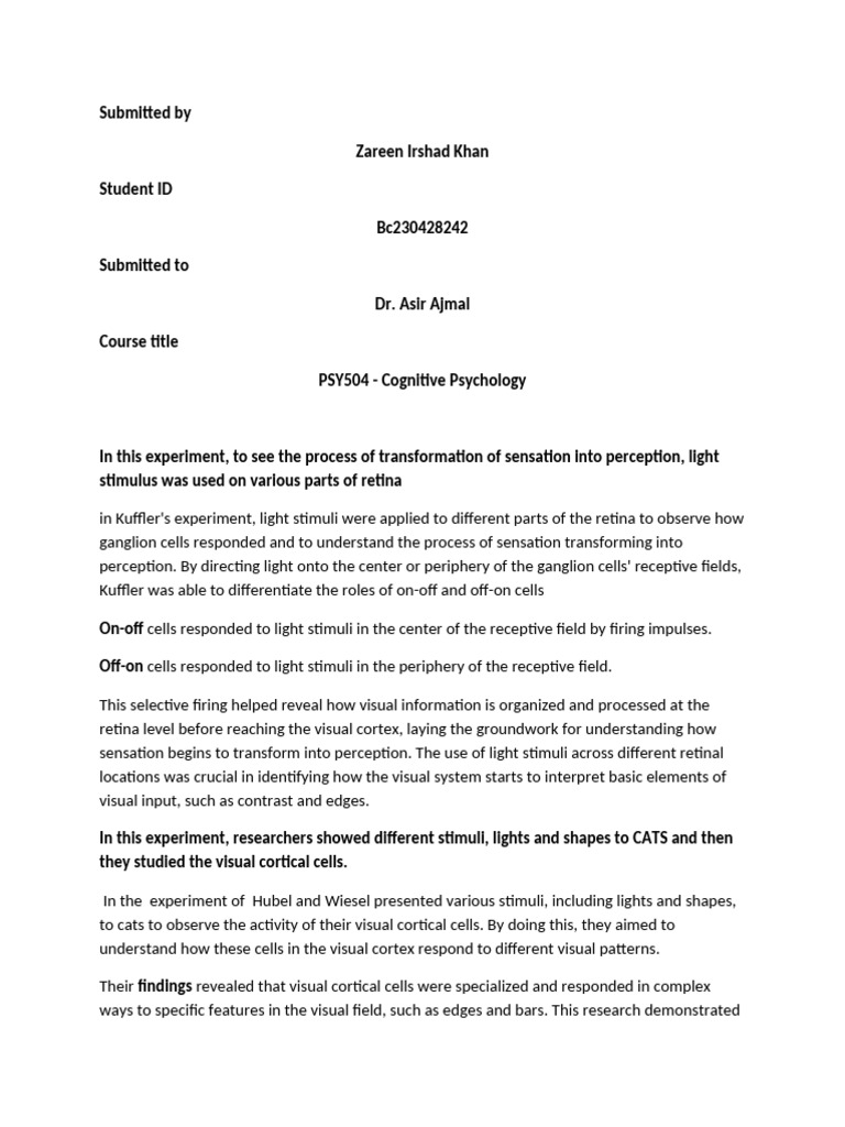 PSY504 - Cognitive Psychology Assignment 1 | PDF | Perception | Visual ...