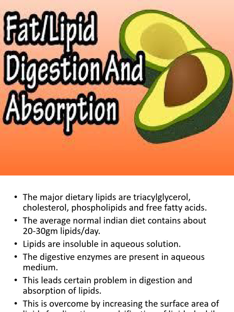 Lipids Digestion | PDF | Digestion | Lipid