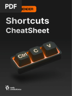 D5 Render Shortcuts - User Manual | PDF | Computing | Software