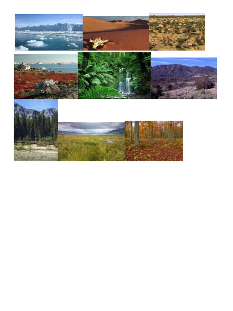 Biomes Pics | PDF