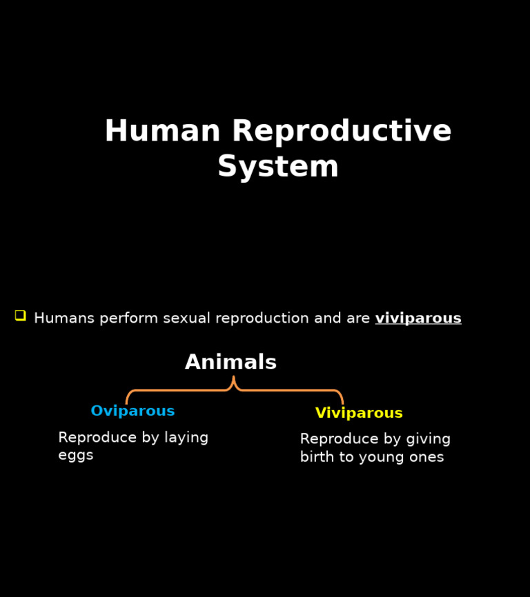 Human Reproductive - System Part1 1 | PDF