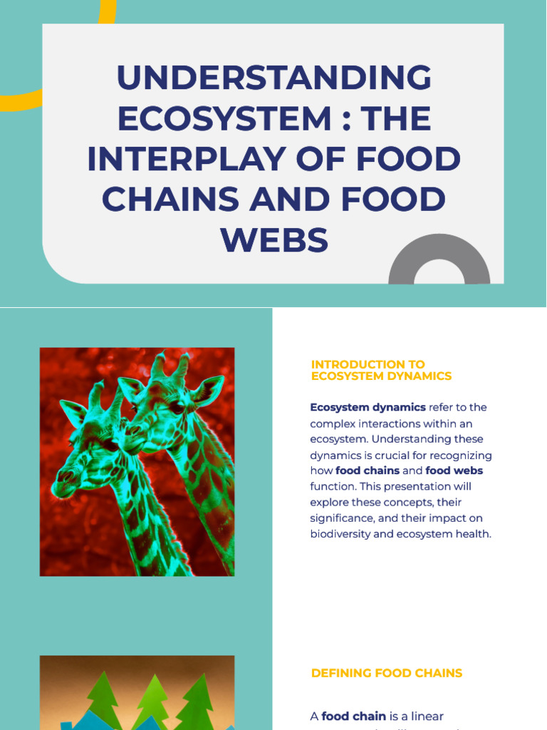 Slidesgo Food Chain 20241107170111y2qw | PDF | Ecosystem | Food Web