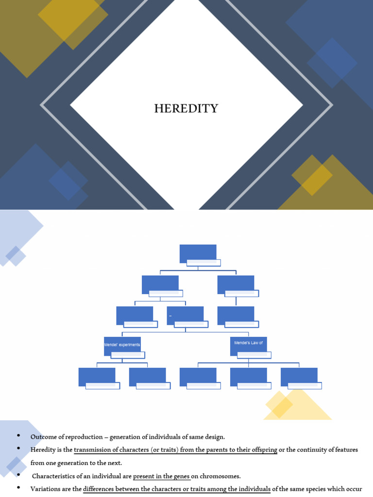 Heredity Complete Notes Pdf Sex Dominance Genetics 5854