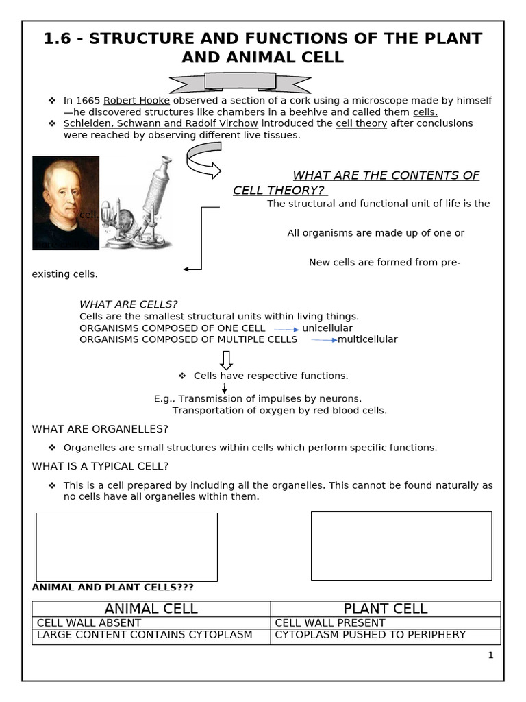 Cell 3rd Edition | PDF | Cell (Biology) | Meiosis