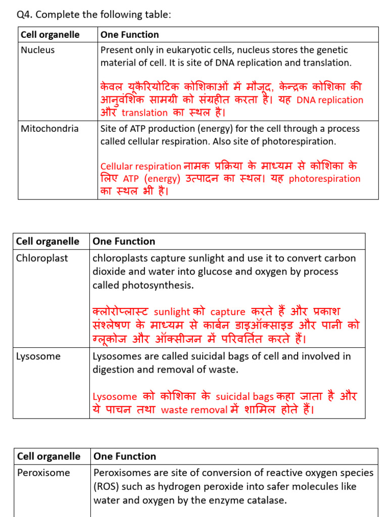 Organelle Function Table BSC I | PDF