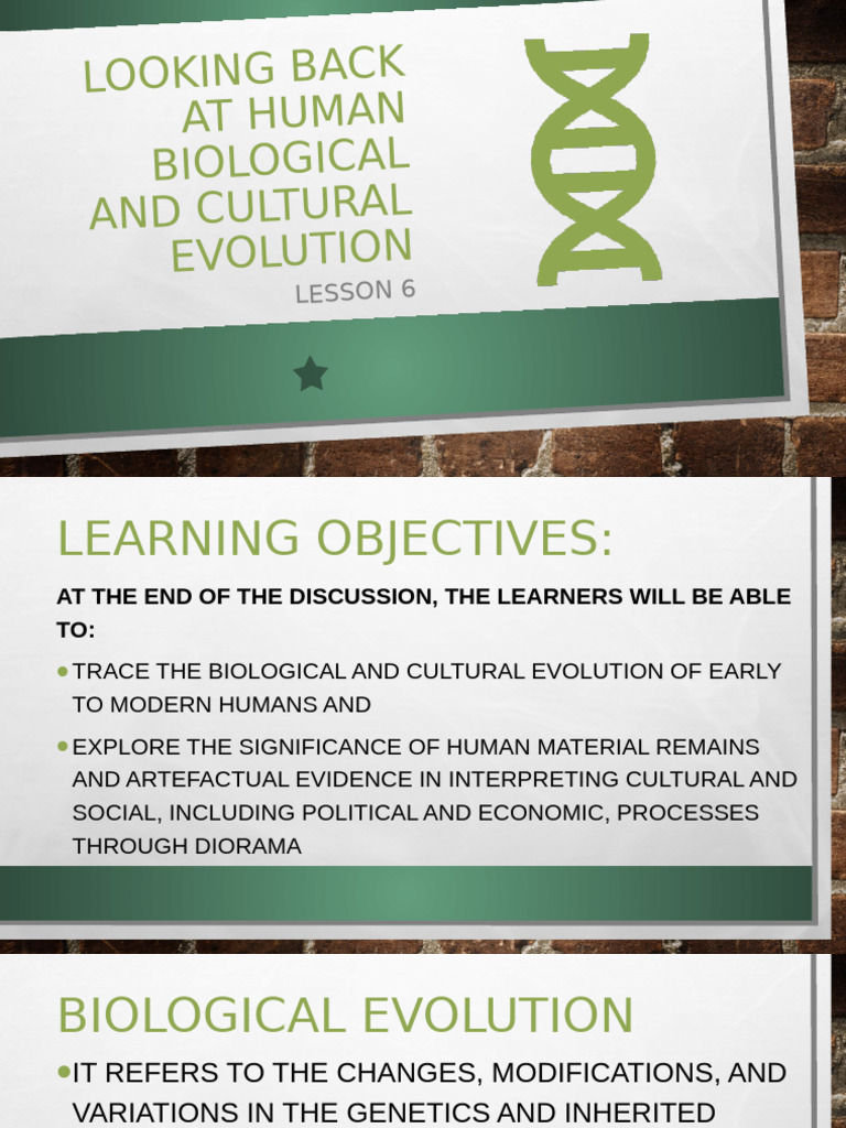 Lesson 6 | PDF | Homo | Human