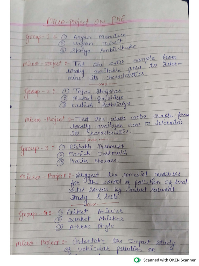 PHE Micro Project | PDF