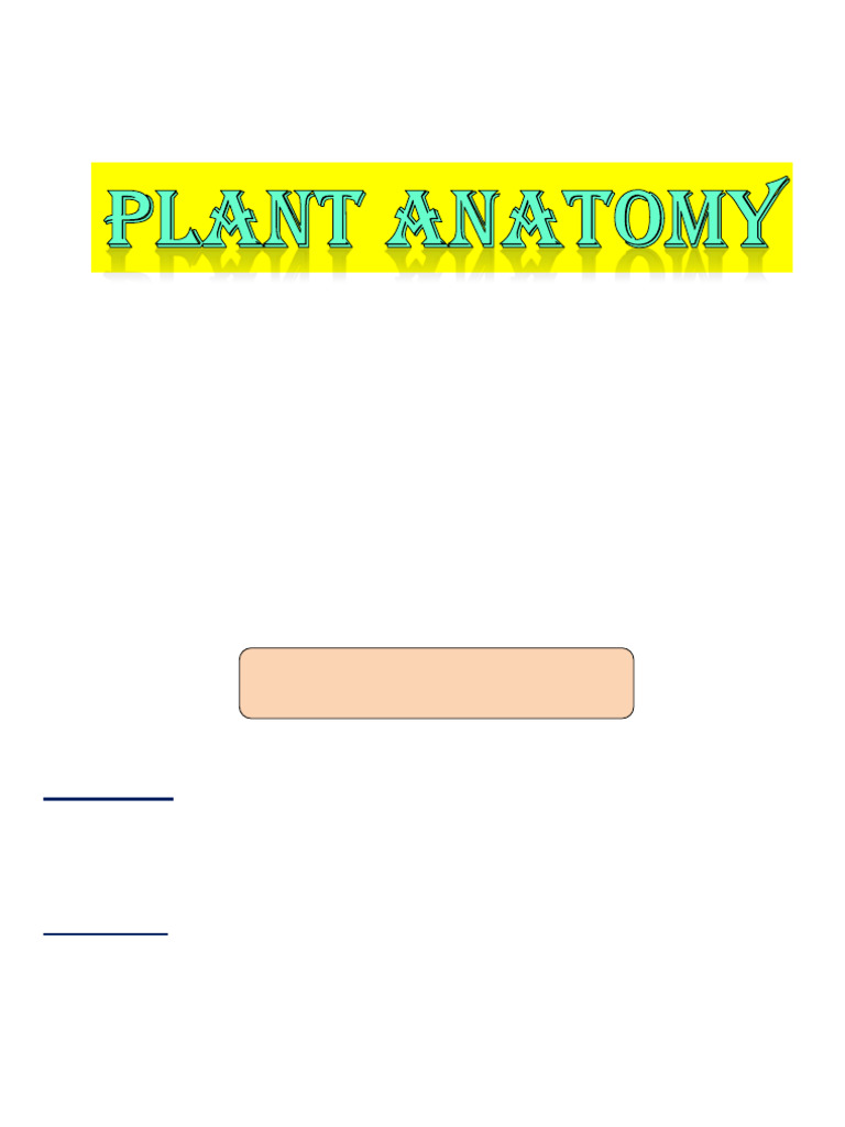 Lec.1 Plant Anatomy | PDF | Tissue (Biology) | Morphology (Biology)