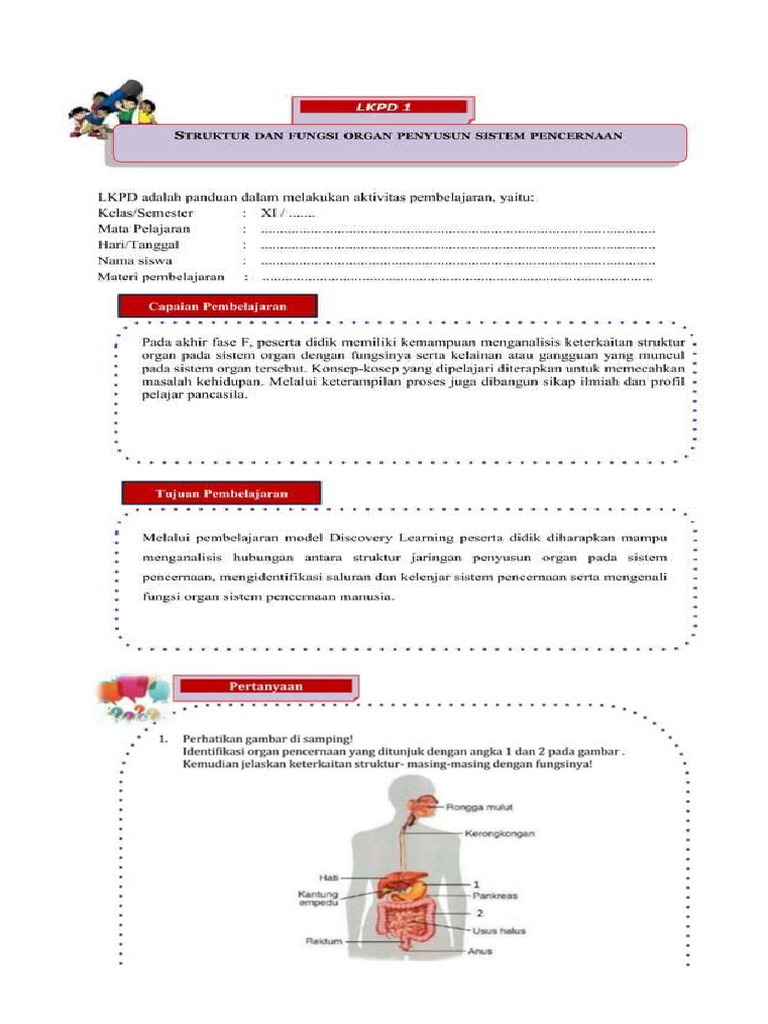 LKPD Sistem Pencernaan | PDF