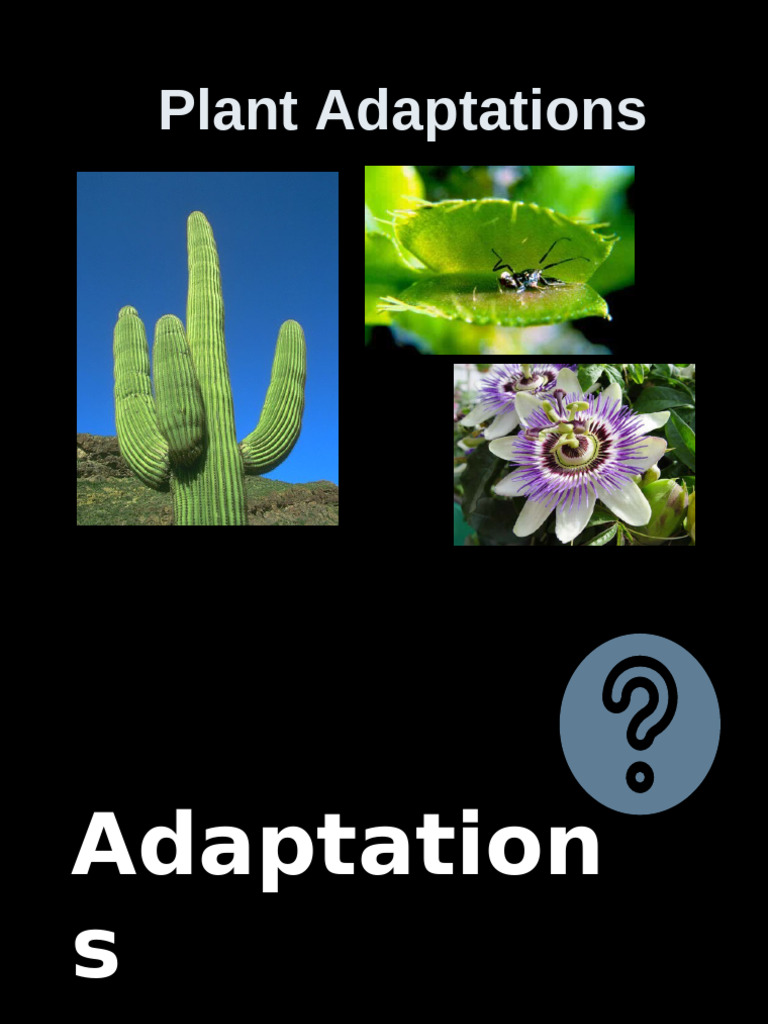 Unit 2.1 Plant Adaptations | PDF | Trees | Weed