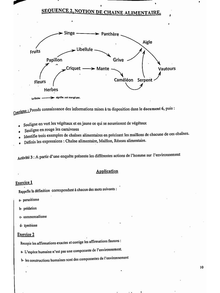 Svt 6e Nov 29 2024 Pdf