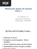 Understanding the Two-Hit Hypothesis | PDF | Tumor Suppressor Gene | Cancer
