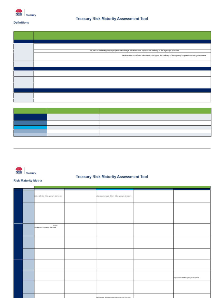 Treasury Risk Maturity Assessment A3 Matrix - 0 | PDF | Risk | Risk ...
