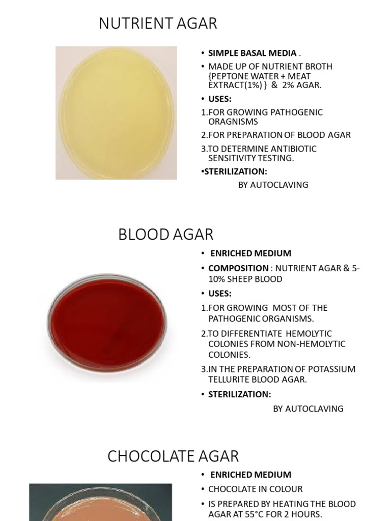 Culture Media | PDF | Growth Medium | Mycobacterium