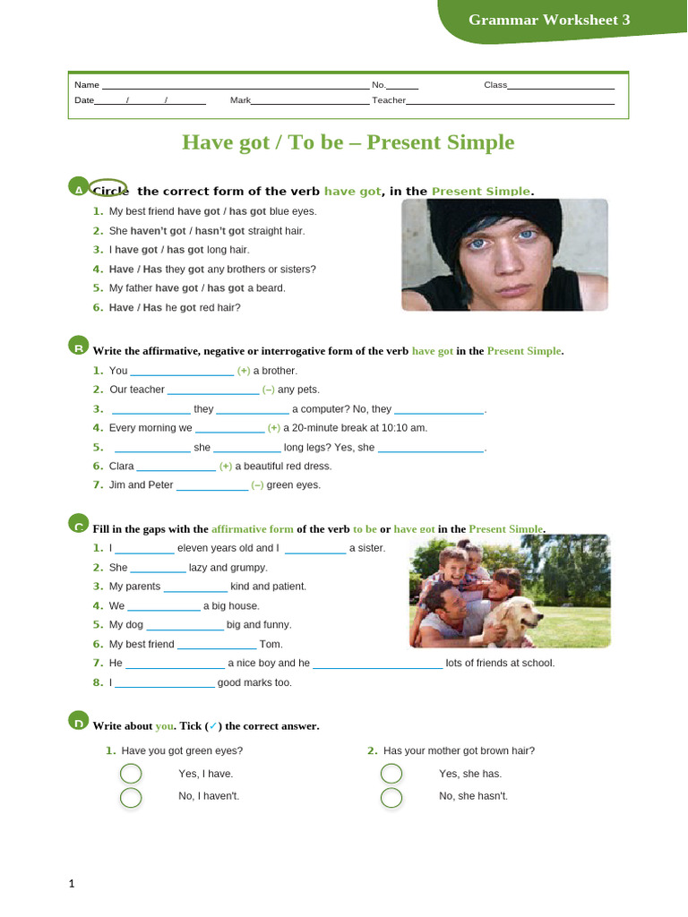 Beginner English Grammar Quiz | PDF