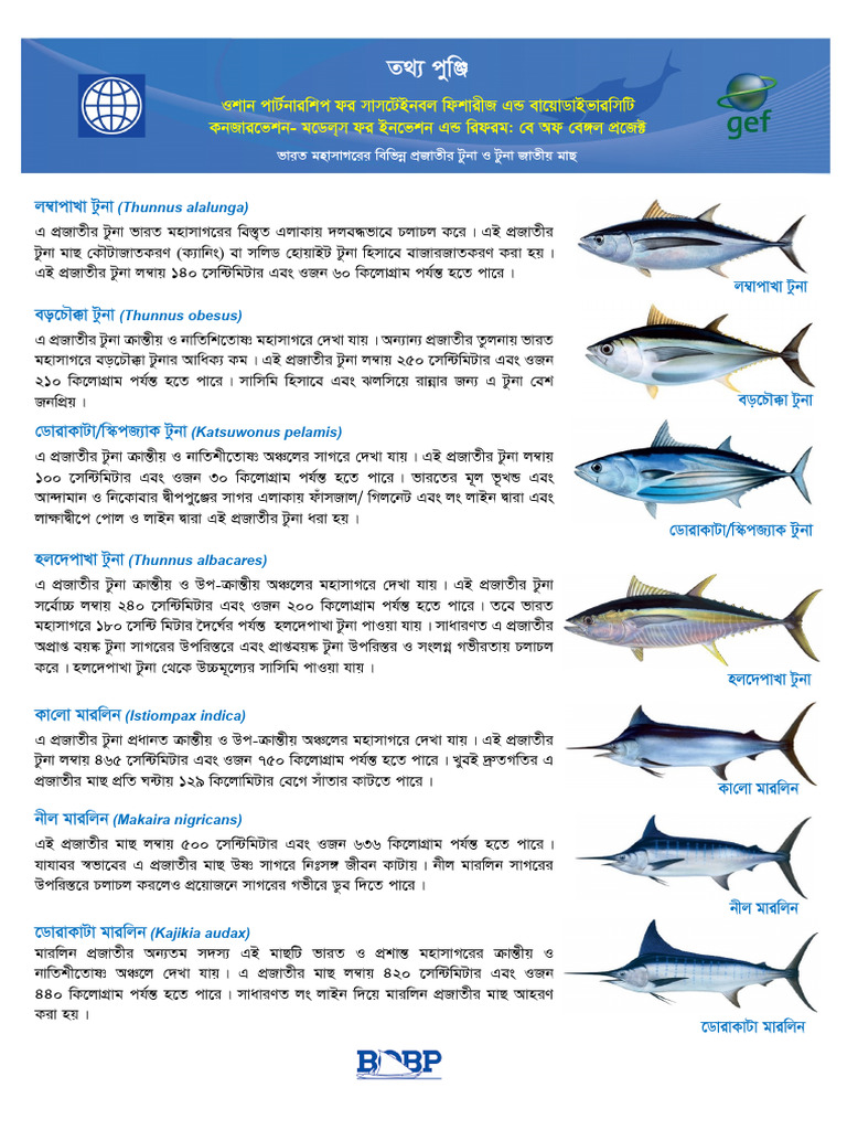Bangla Tuna Fact Sheet Final To Press | PDF