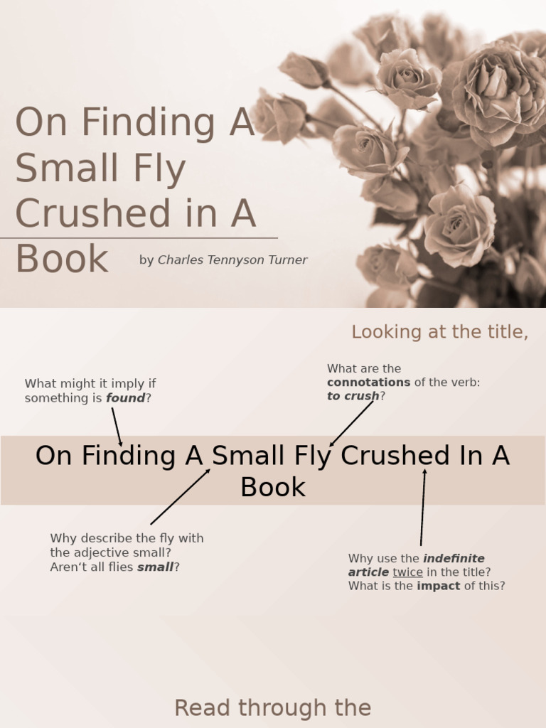 On Finding A Small Fly Crushed in A Book | PDF | Poetry
